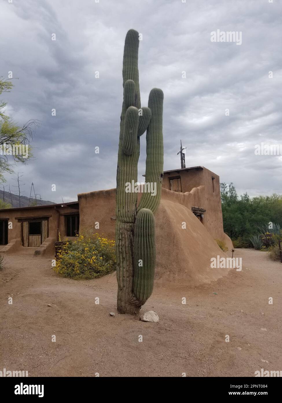 DeGrazia Gallery in the Sun Museum in Tucson, Arizona Stock Photo - Alamy