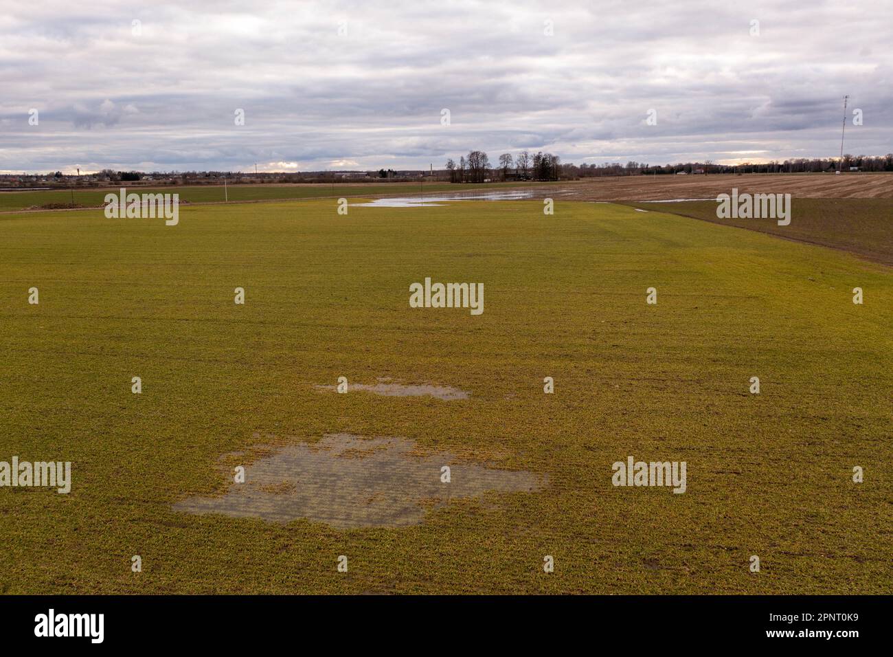 Drone photography of agriculture field during springtime with puddles ...