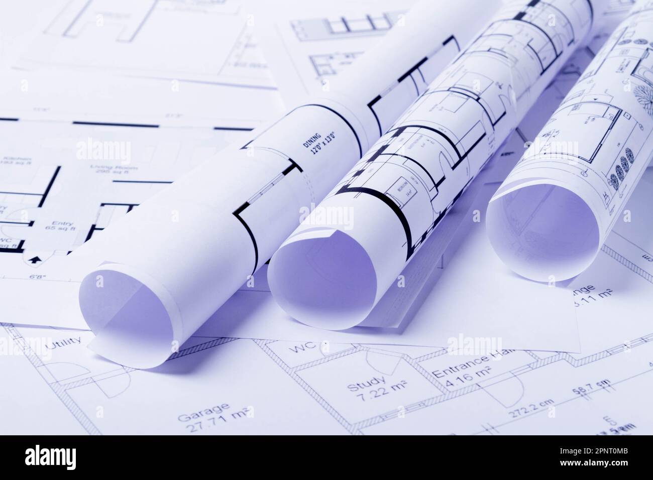 Construction plan. Scheme drawing rolled up in a roll. Home renovation ...