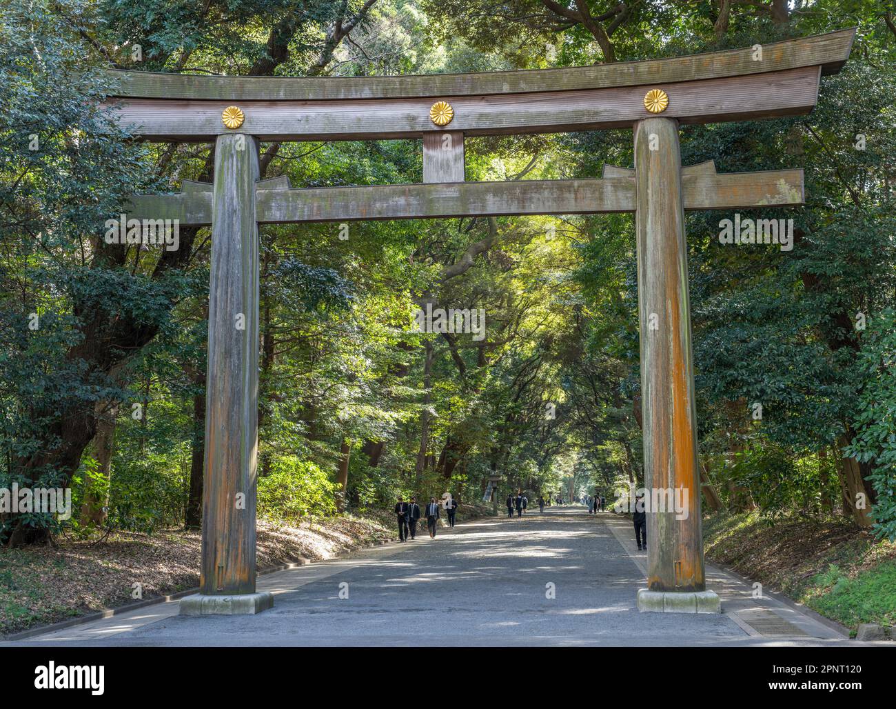 A large wooden torii gate at the north entrance to Meiji Shrine (or ...