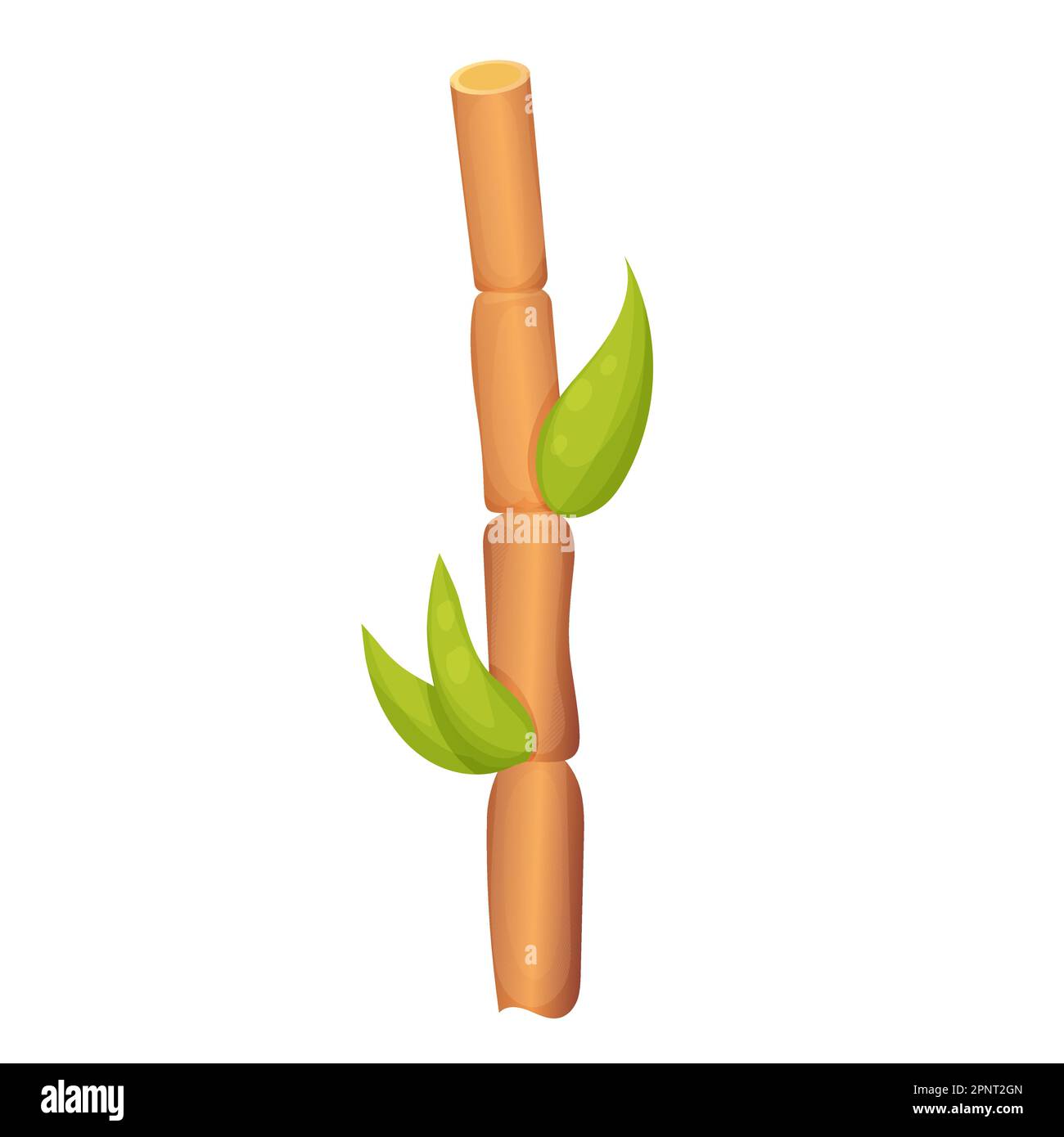 Bamboo stem, stick with green leaves japan plant, tropical in cartoon ...