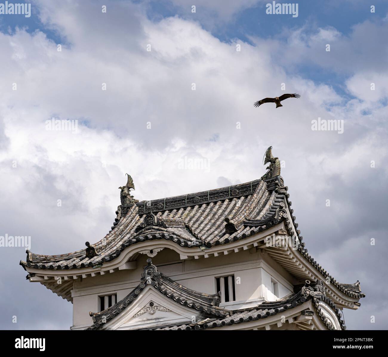 An eagle flying over Uwajima Castle in Ehime Prefecture, Japan Stock ...