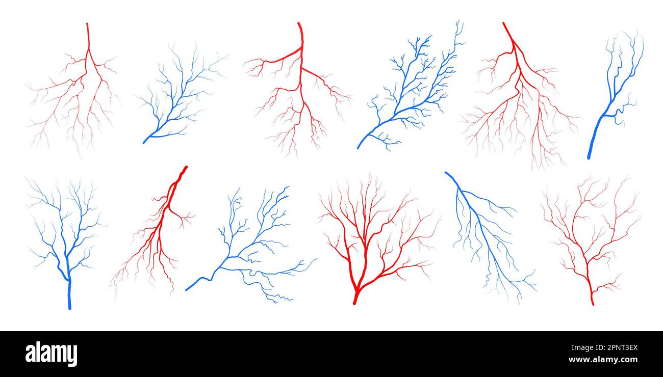 Human eye blood veins vessels silhouettes vector illustration set ...