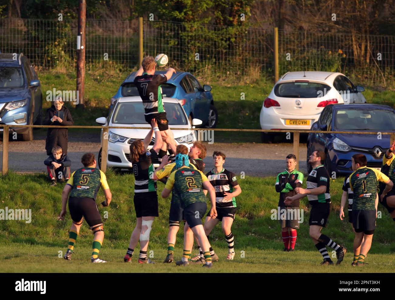 Llandeilo RFC v Cefneithin RFC 2023 Stock Photo - Alamy