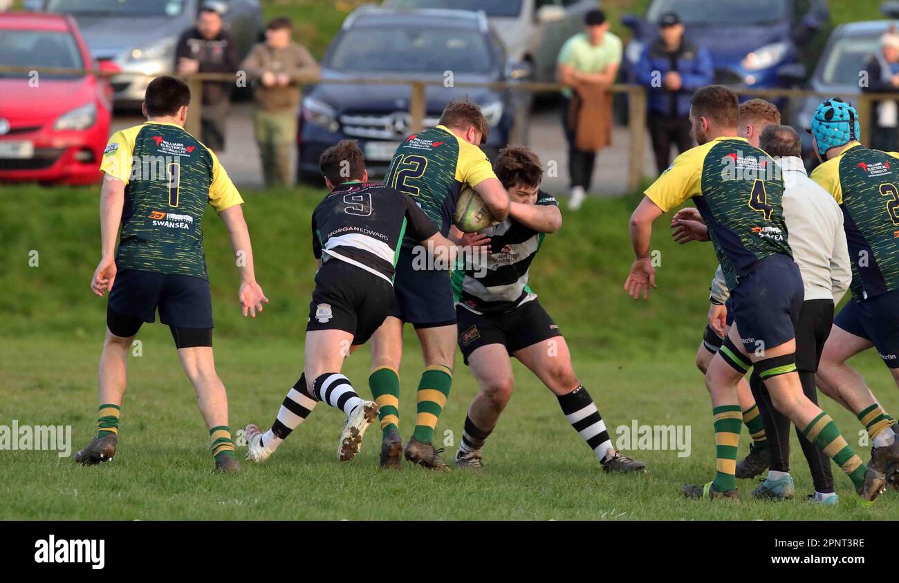 Llandeilo RFC v Cefneithin RFC 2023 Stock Photo - Alamy