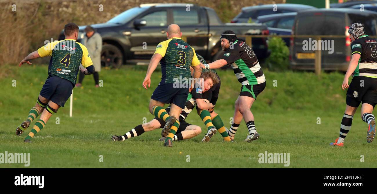 Llandeilo RFC v Cefneithin RFC 2023 Stock Photo - Alamy