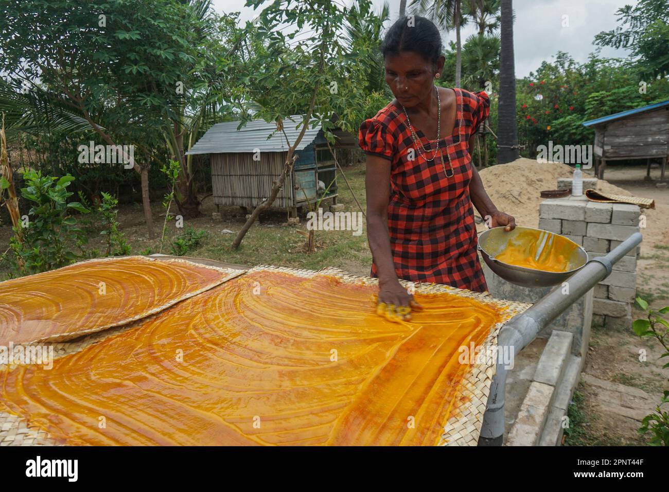 Naranthanai south hi-res stock photography and images - Alamy