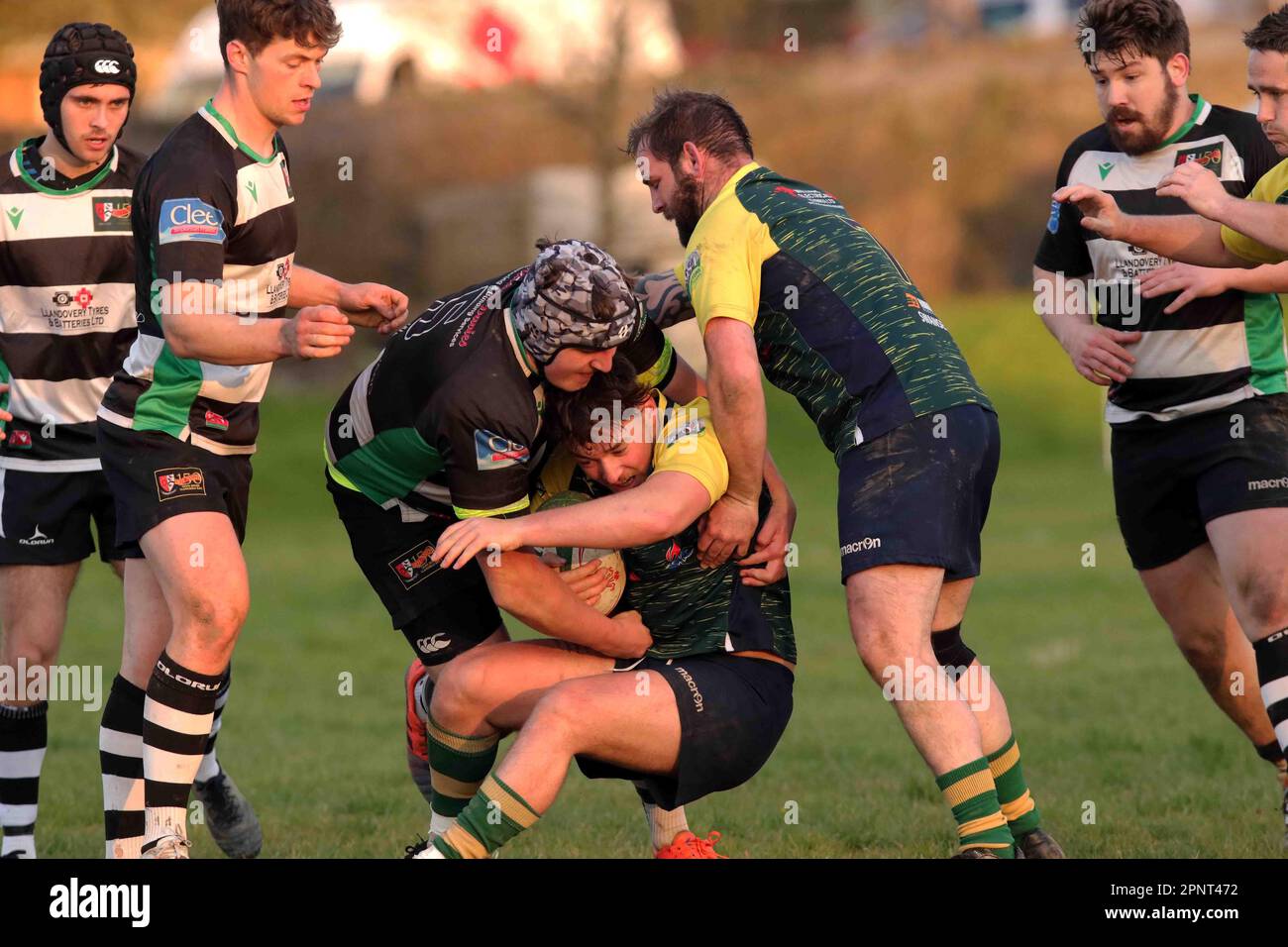 Llandeilo RFC v Cefneithin RFC 2023 Stock Photo - Alamy
