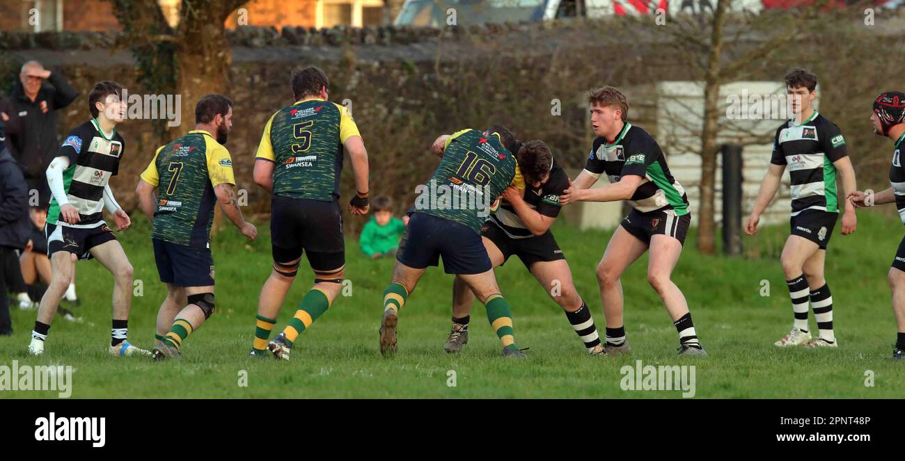 Llandeilo RFC v Cefneithin RFC 2023 Stock Photo - Alamy