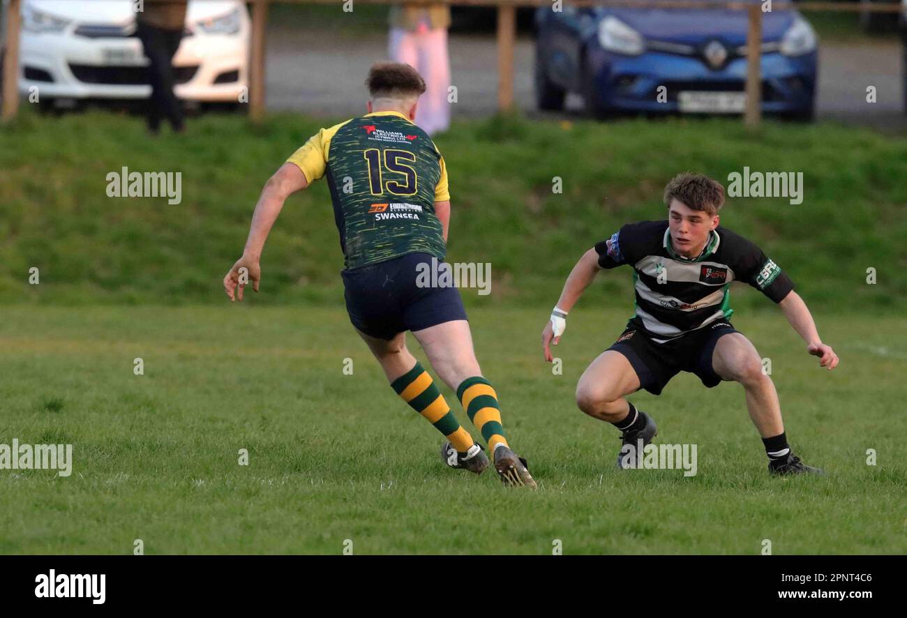 Llandeilo RFC v Cefneithin RFC 2023 Stock Photo - Alamy