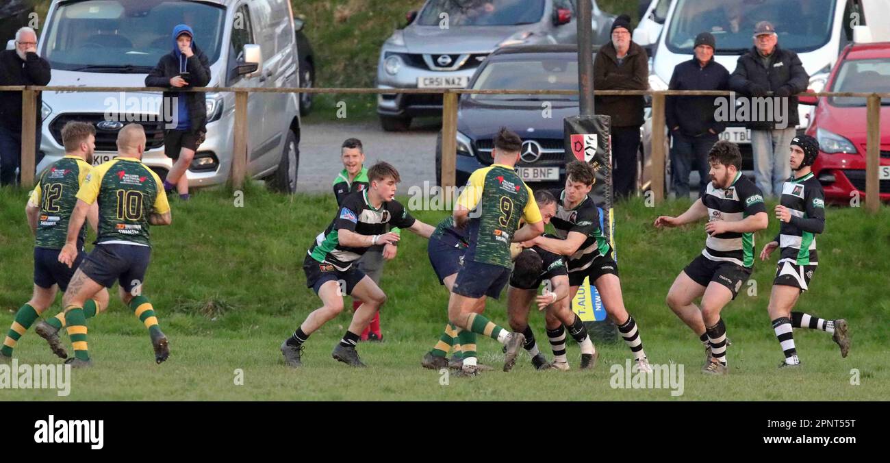 Llandeilo RFC v Cefneithin RFC 2023 Stock Photo - Alamy