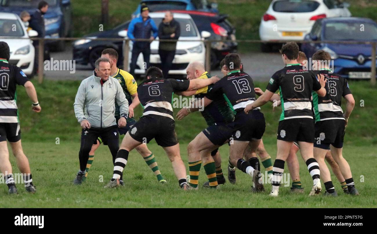 Llandeilo RFC v Cefneithin RFC 2023 Stock Photo - Alamy