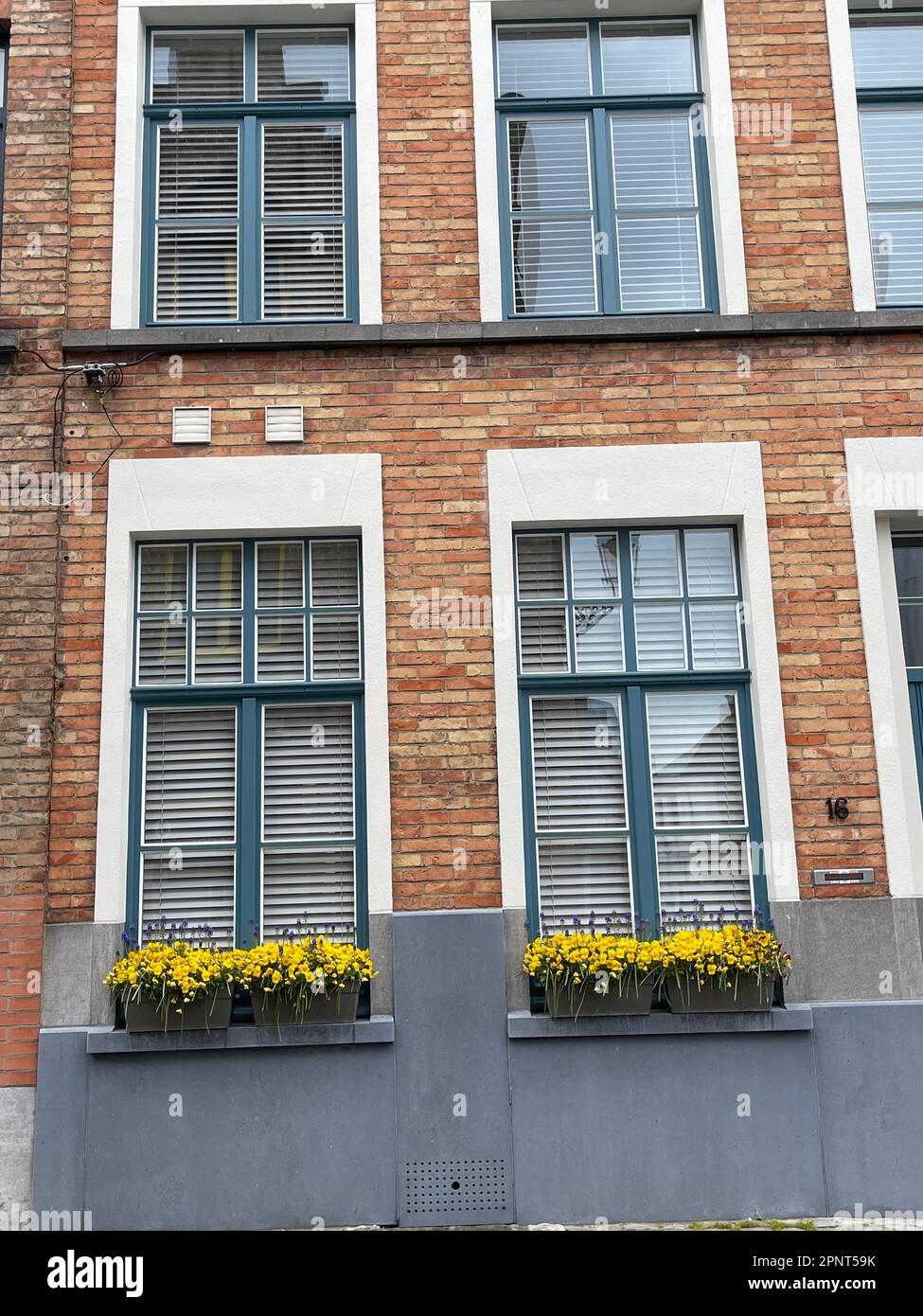 Bruge, Belgium. Old building with yellow flowers in windows Stock Photo ...