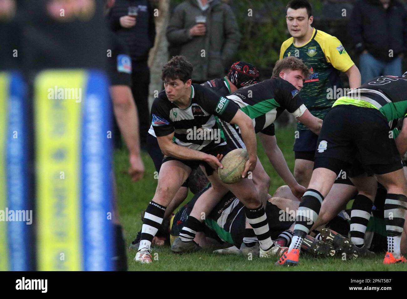 Llandeilo RFC v Cefneithin RFC 2023 Stock Photo - Alamy