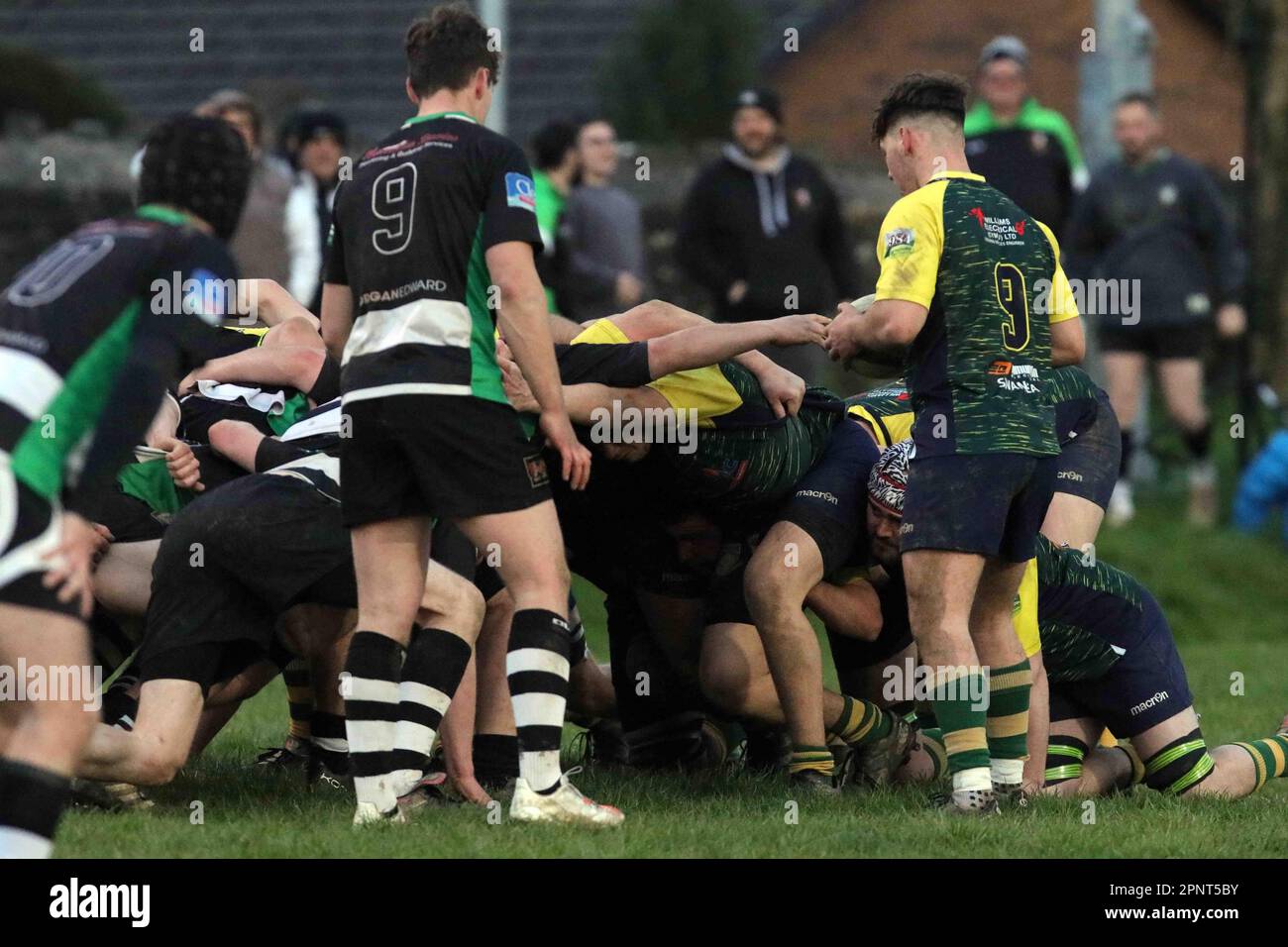 Llandeilo RFC v Cefneithin RFC 2023 Stock Photo - Alamy