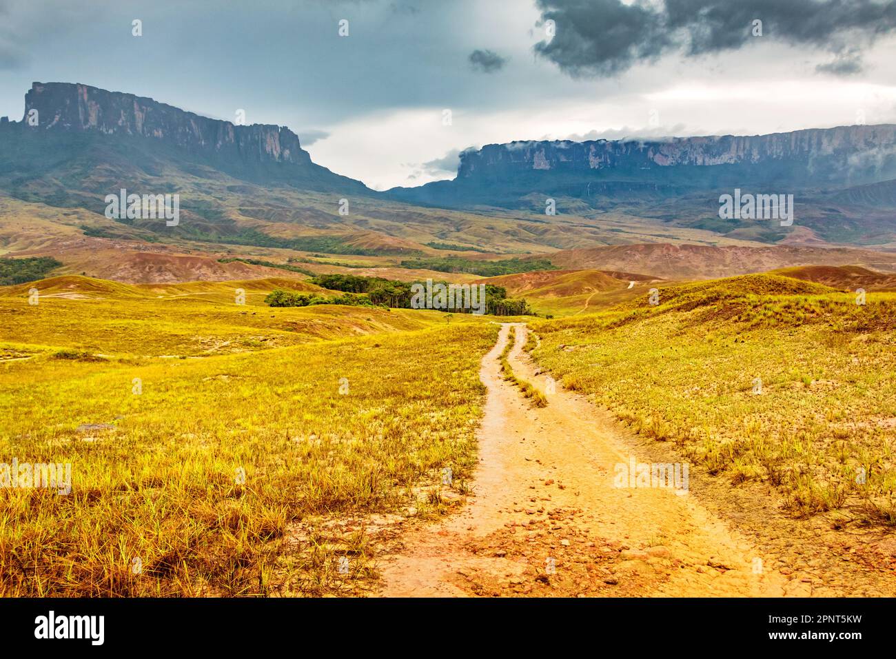 Mount Roraima in Venezuela, South America Stock Photo - Alamy