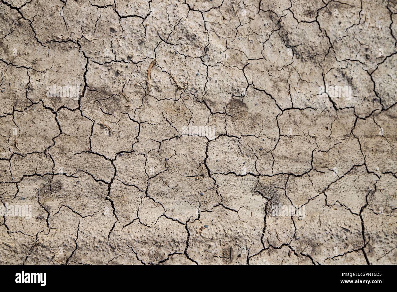dry earth texture Stock Photo - Alamy