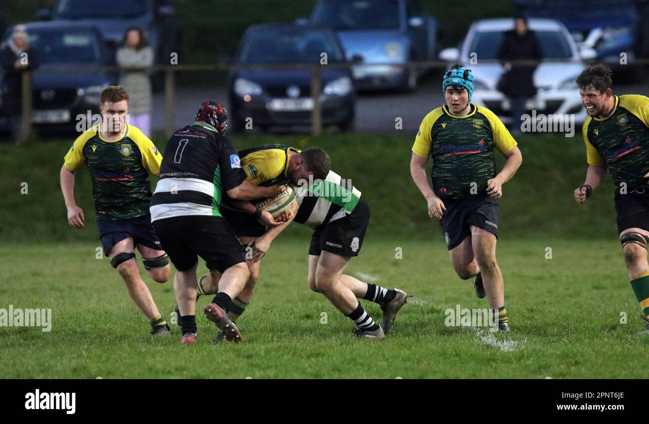 Llandeilo RFC v Cefneithin RFC 2023 Stock Photo - Alamy