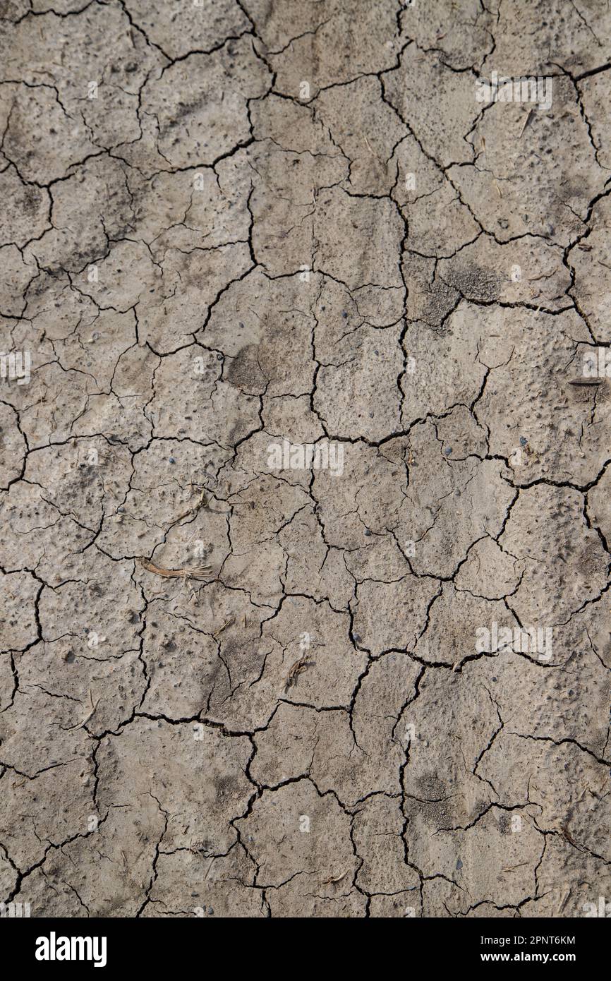 dry earth texture Stock Photo - Alamy