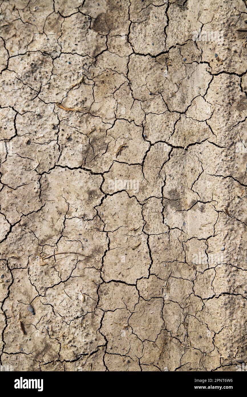 dry earth texture Stock Photo - Alamy