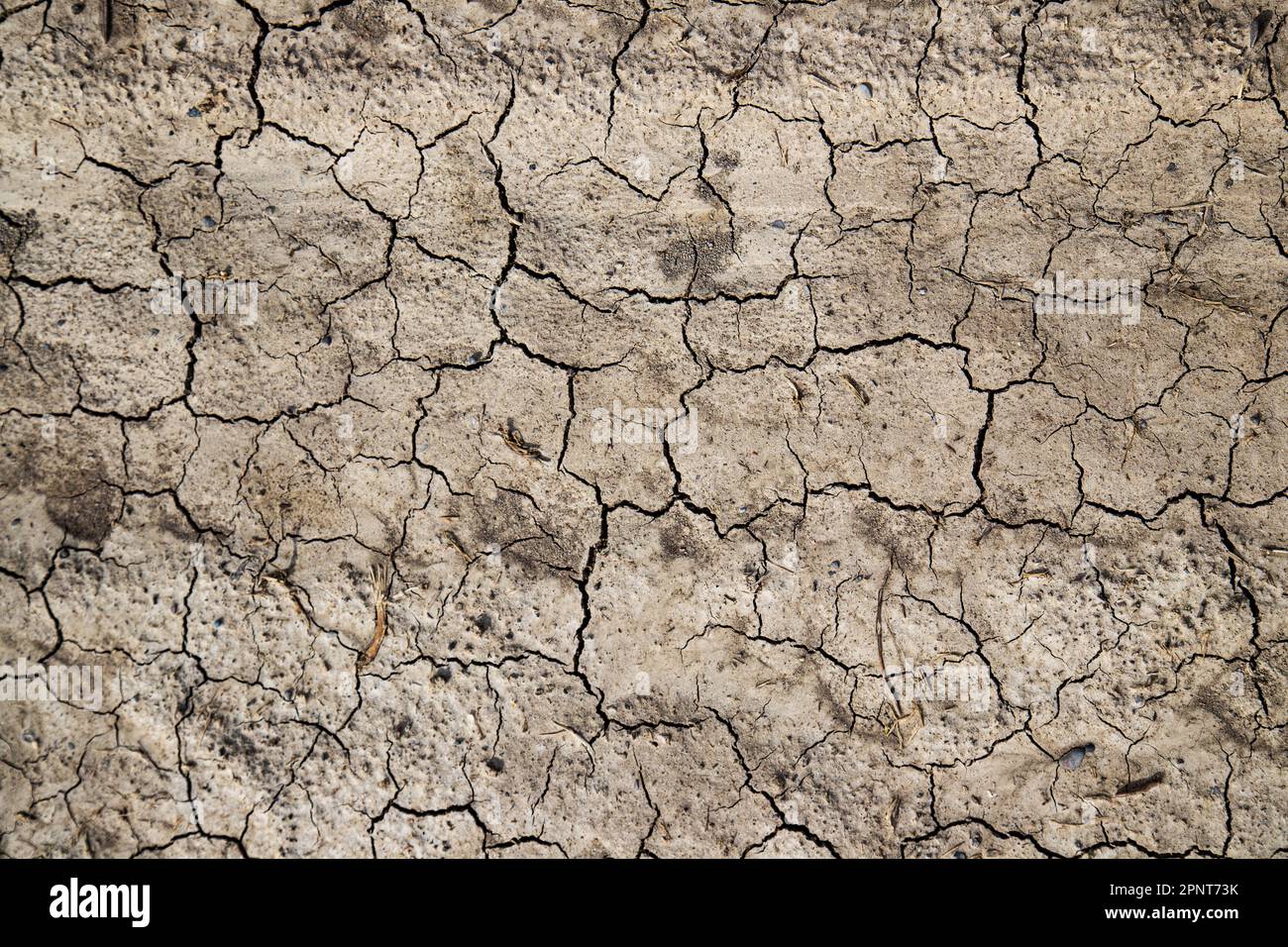 dry earth texture Stock Photo - Alamy