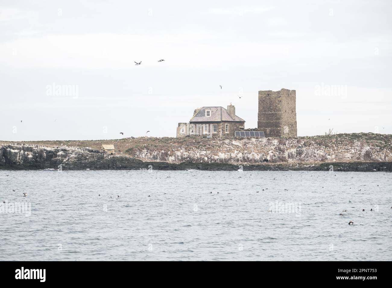 A majestic castle-like structure situated in a tranquil body of water ...
