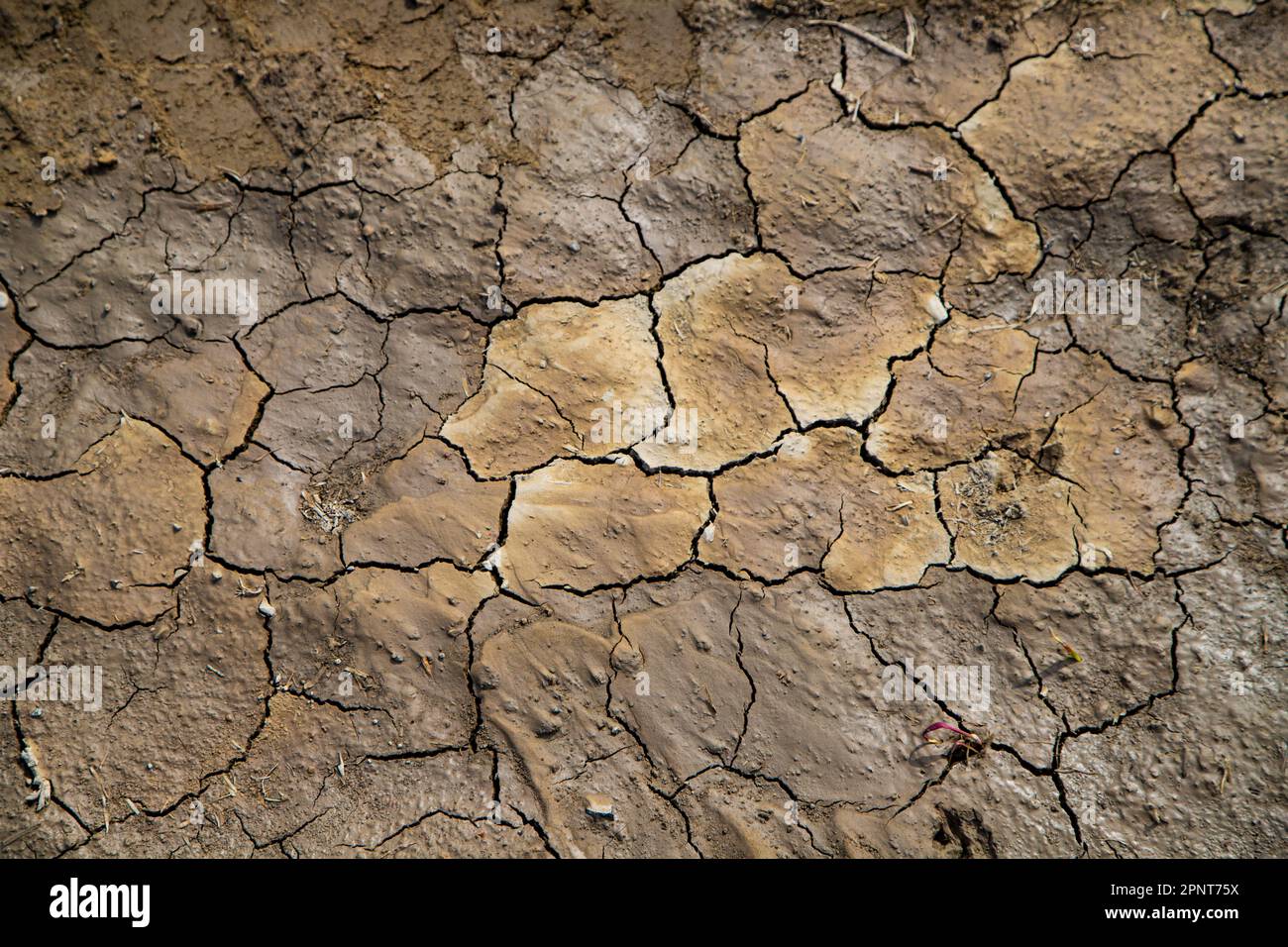 dry earth texture Stock Photo - Alamy