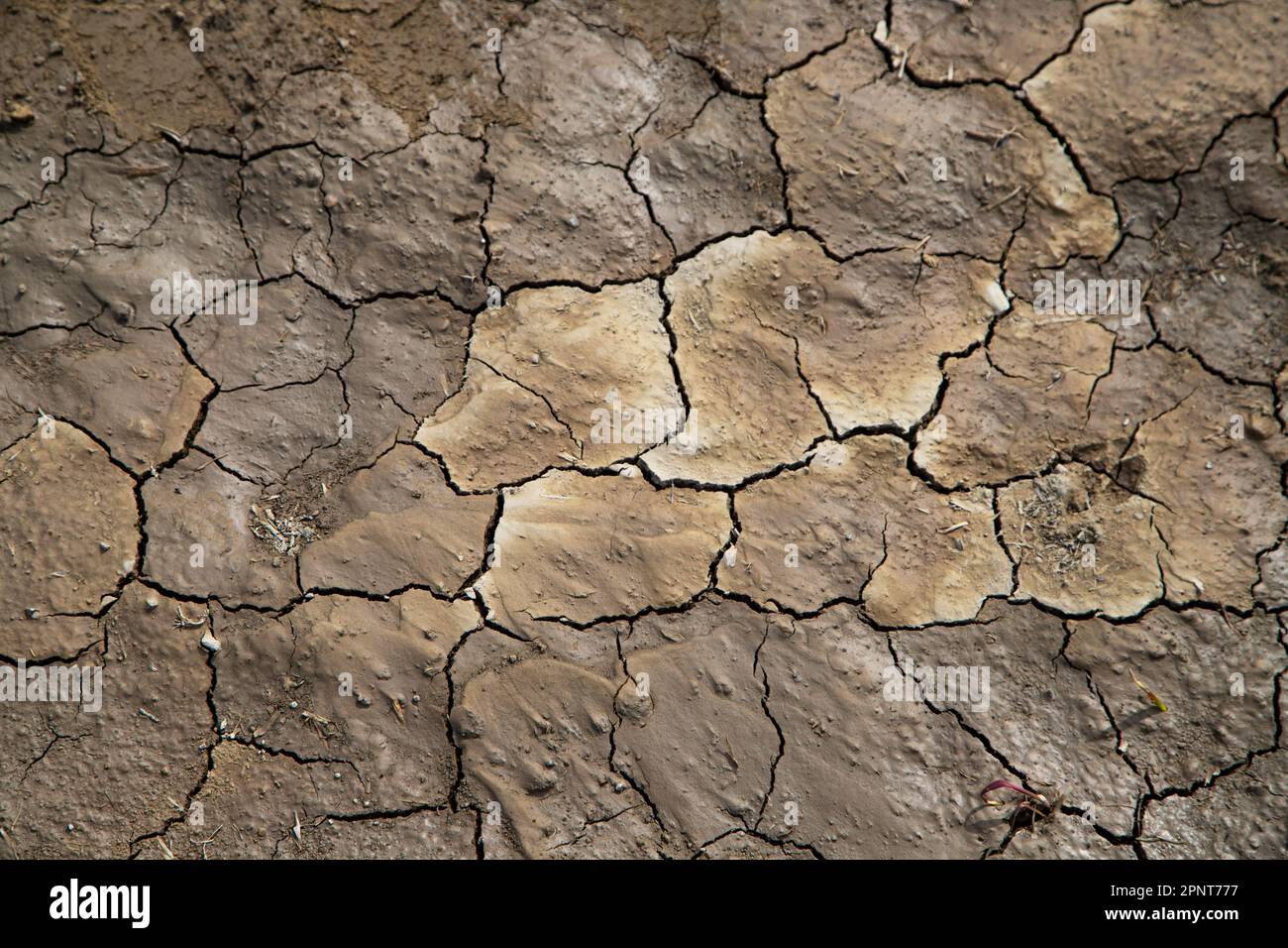 dry earth texture Stock Photo - Alamy