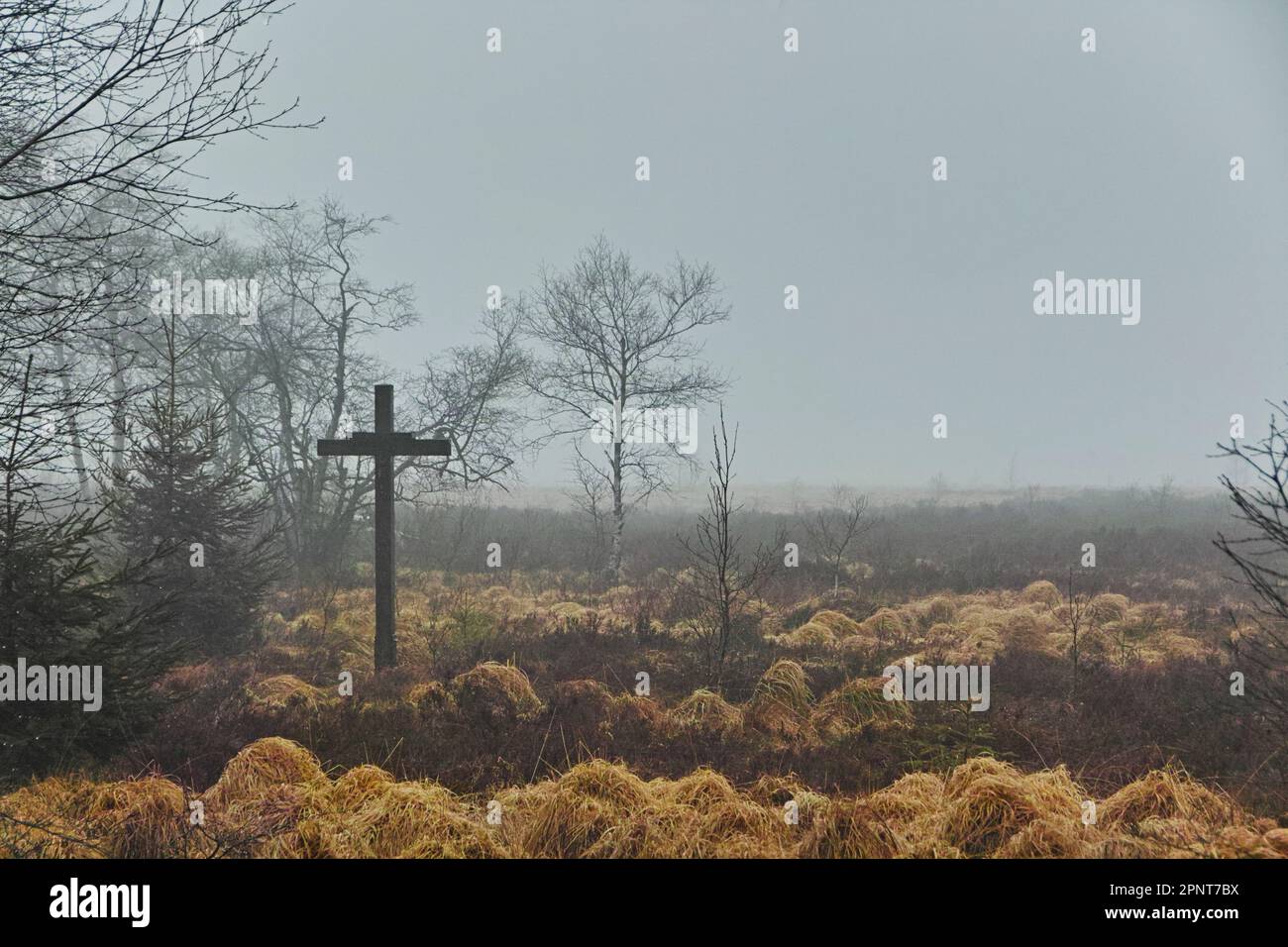 Craix du Prieur, Hautes Fagnes Stock Photo - Alamy