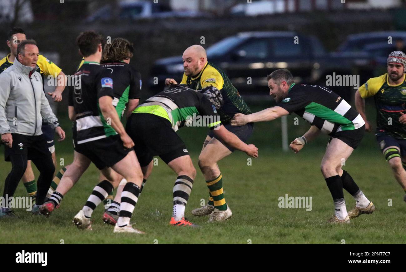 Llandeilo RFC v Cefneithin RFC 2023 Stock Photo - Alamy