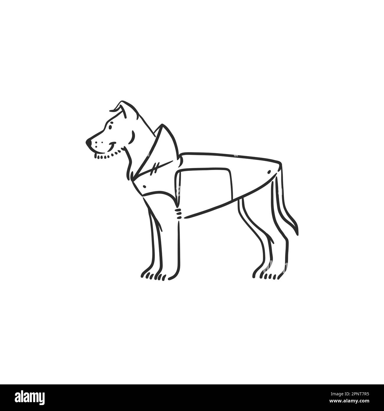 Hand drawn vector abstract graphic line art collection with diverse ...