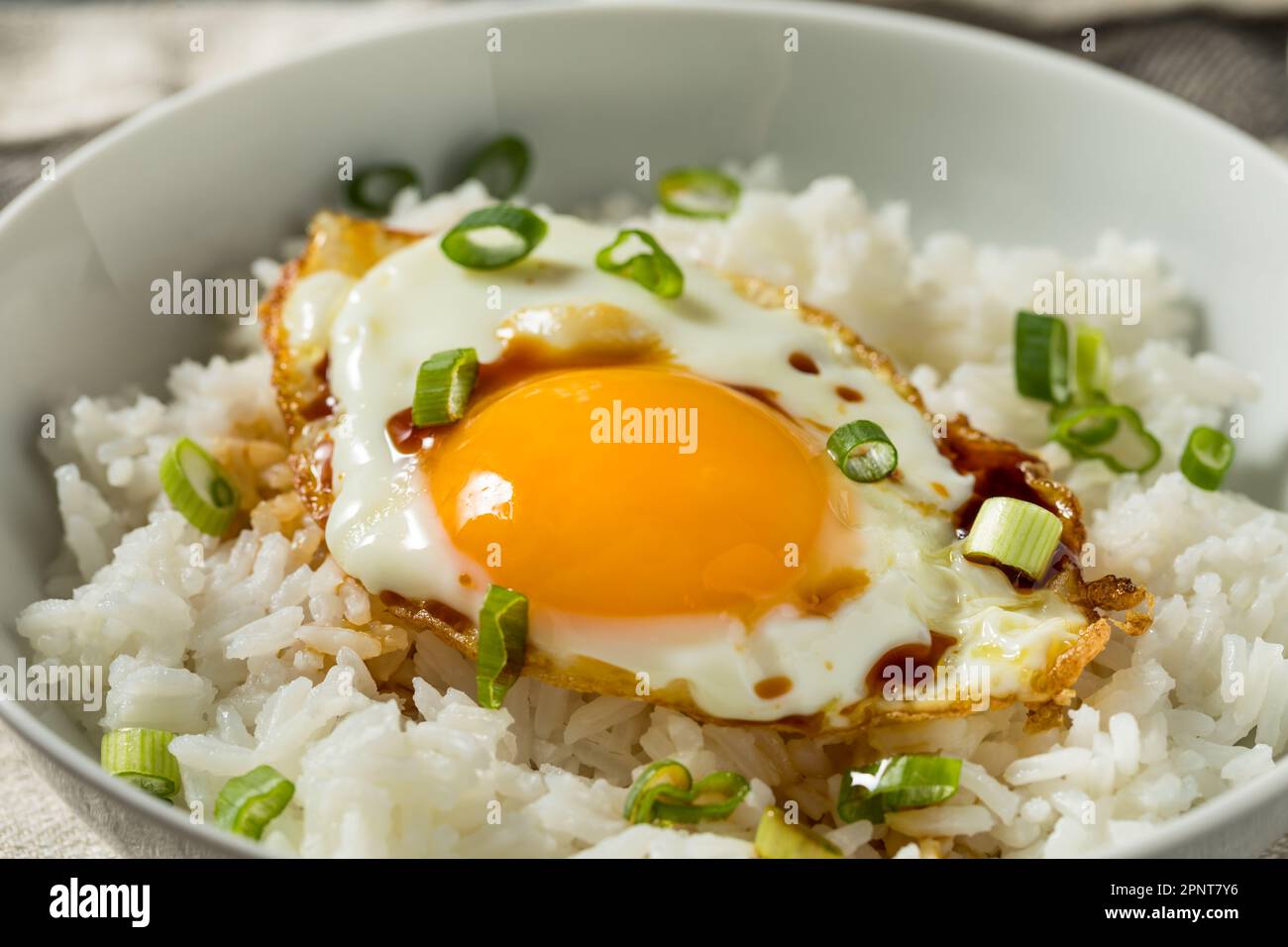 Homemade Asian Fried Egg and Rice Breakfast with Soy Sauce Stock Photo ...