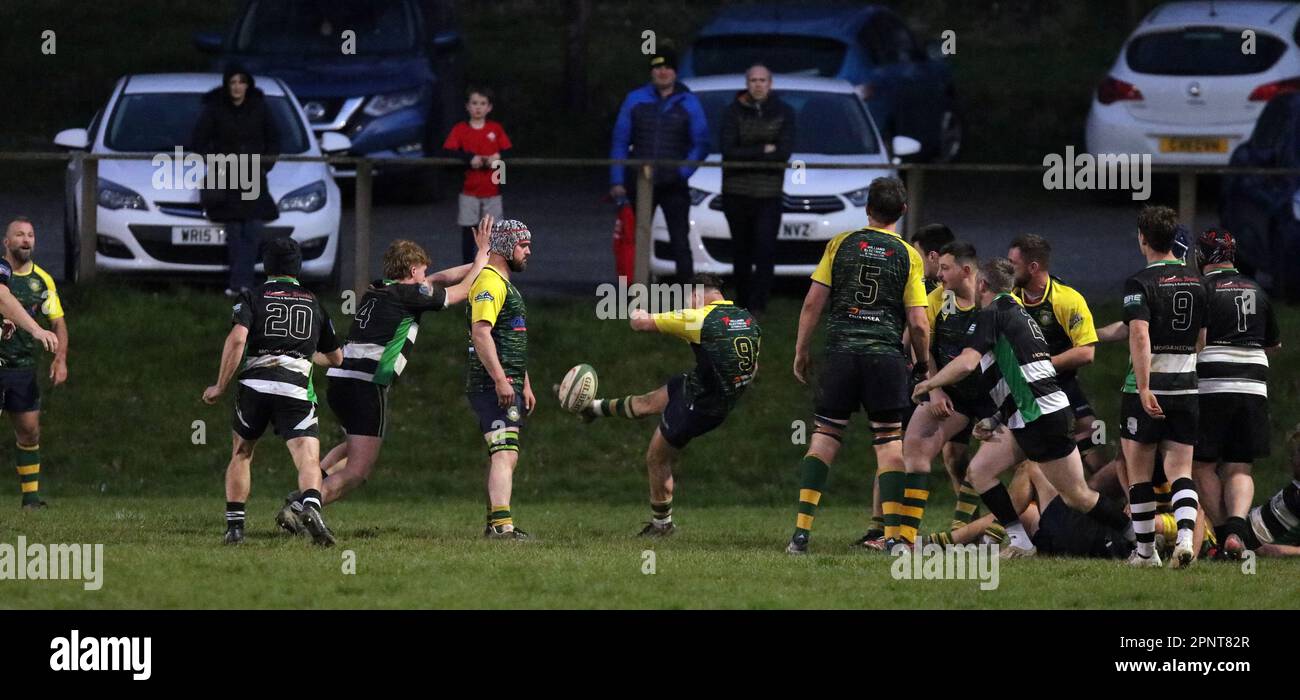 Llandeilo RFC v Cefneithin RFC 2023 Stock Photo - Alamy