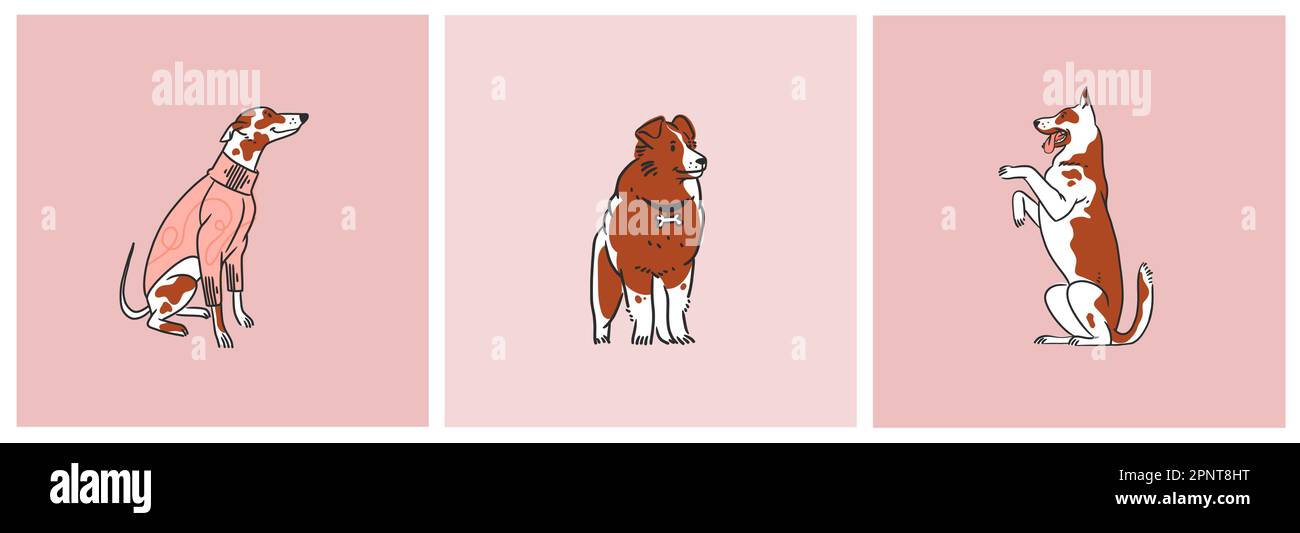 Hand drawn vector abstract graphic line collection set with diverse ...