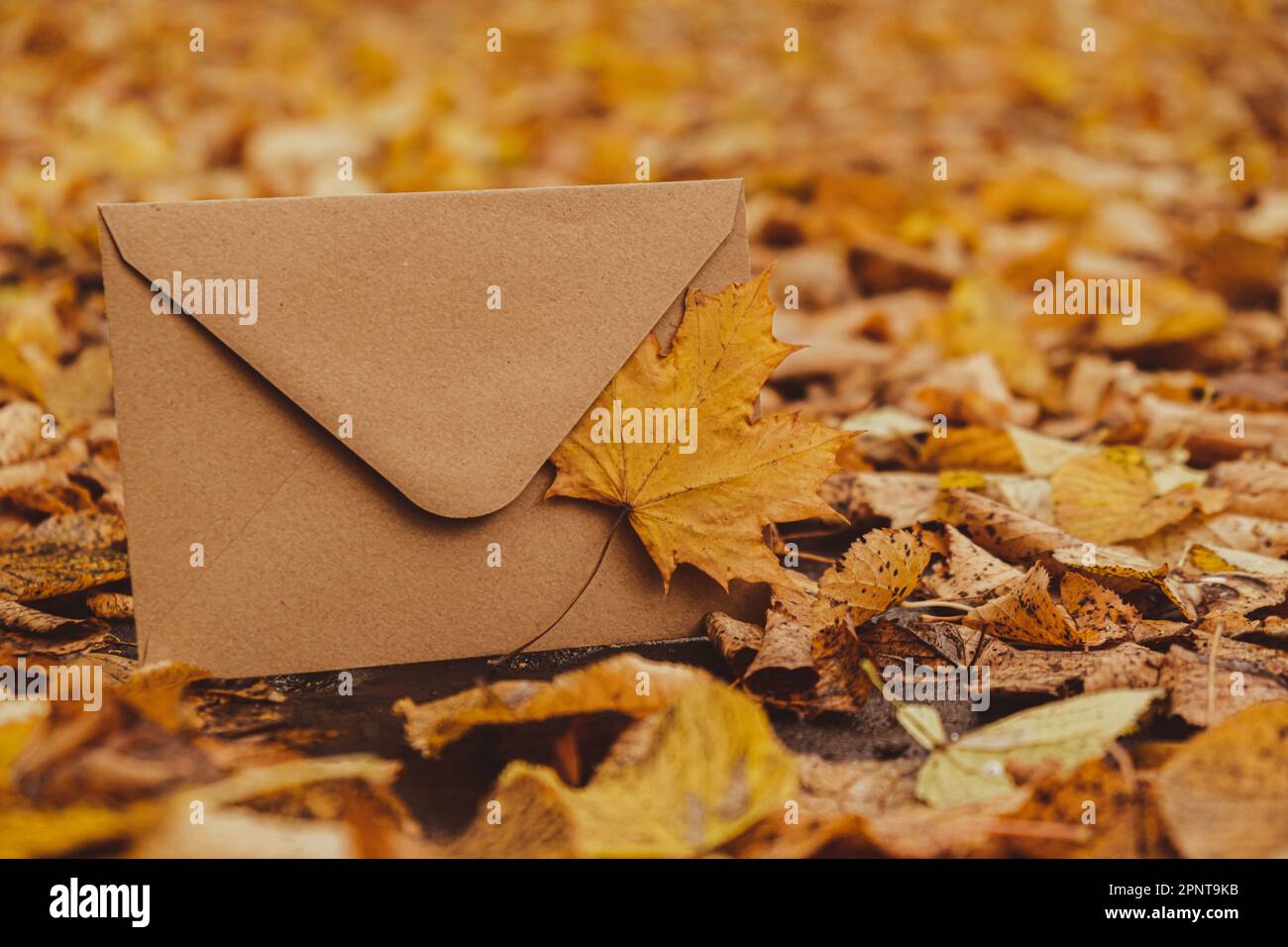 Empty earth tones envelope mock up around Colorful falling autumn ...