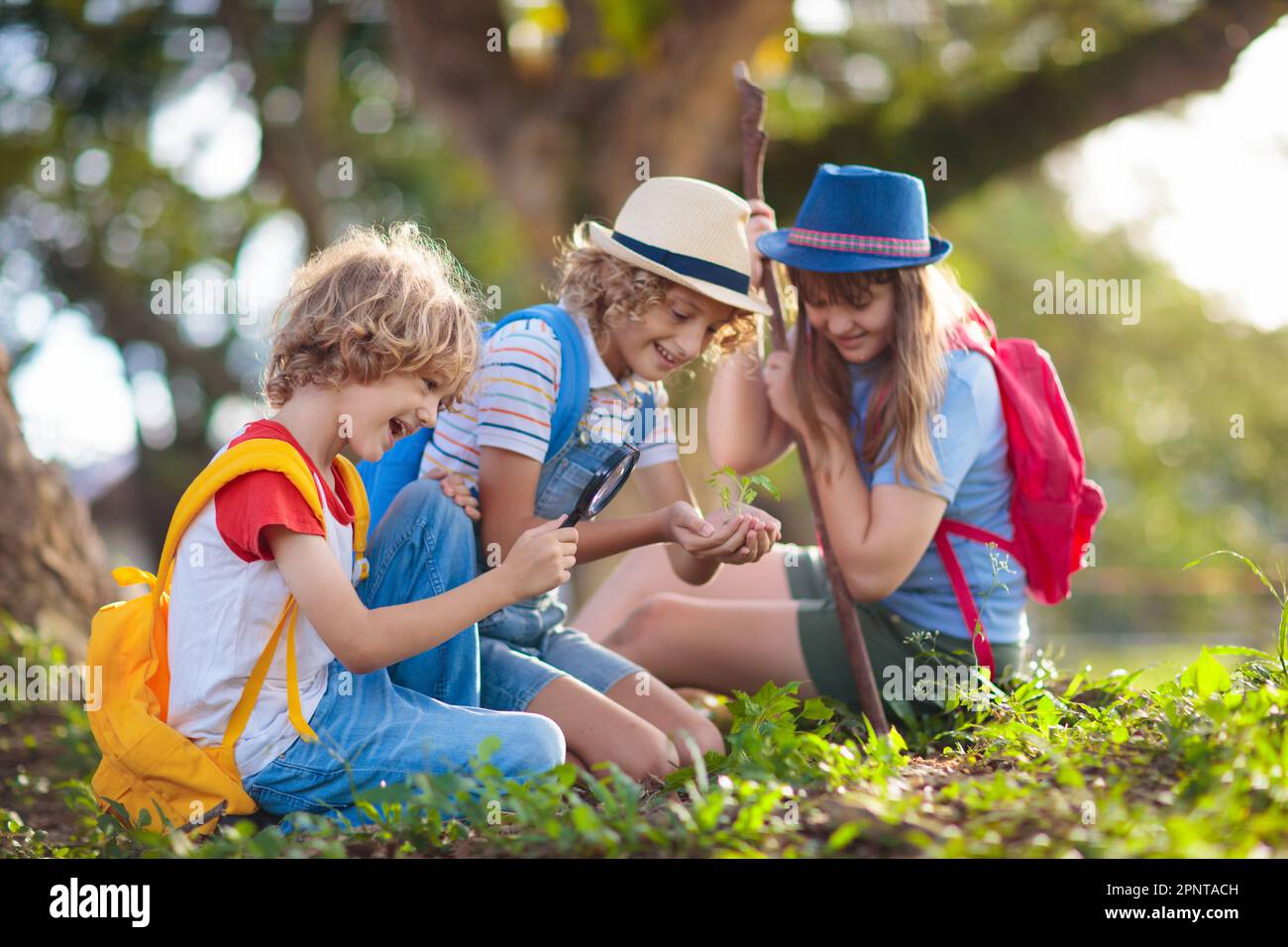 Kids explore nature. Children hike in sunny summer park. Scout club and ...