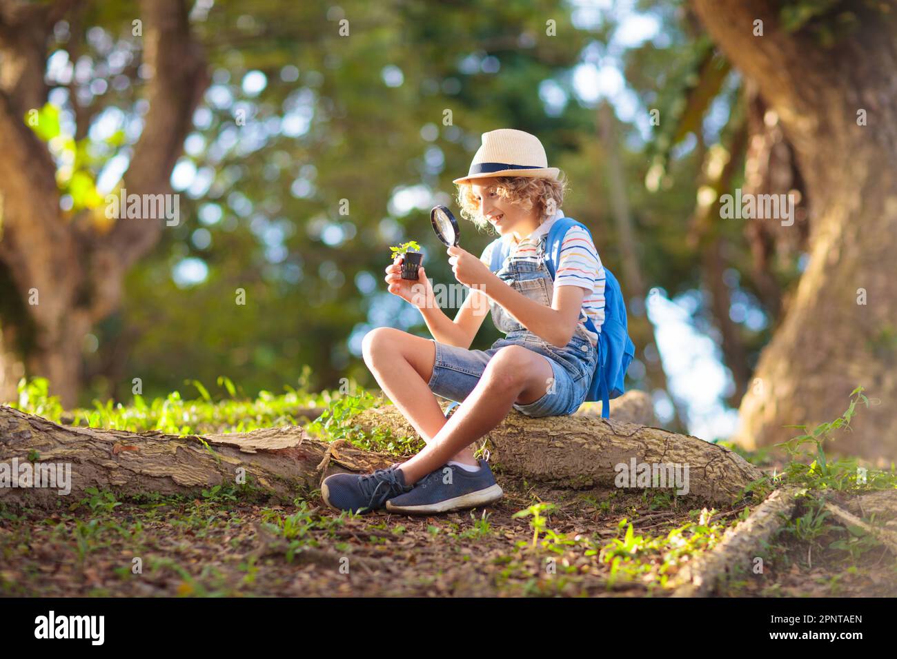 Kids explore nature. Children hike in sunny summer park. Scout club and ...