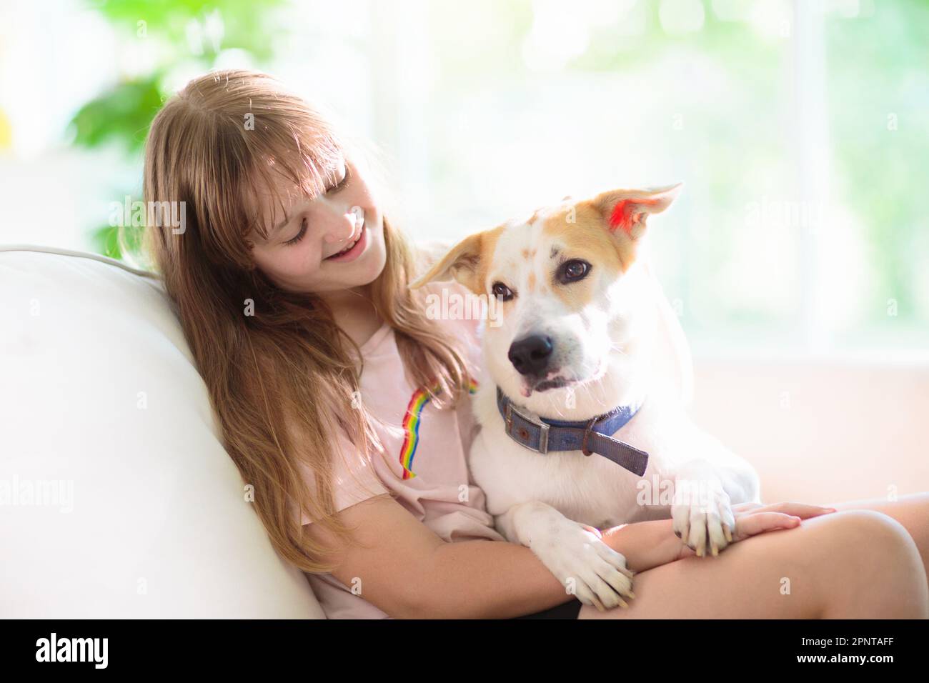 Child playing with big dog. Girl cuddling shepherd puppy. Kids and ...