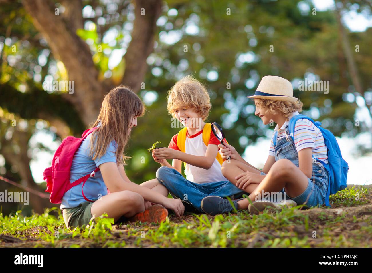 Kids explore nature. Children hike in sunny summer park. Scout club and ...