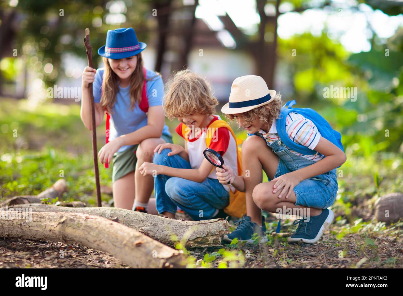 Kids explore nature. Children hike in sunny summer park. Scout club and ...