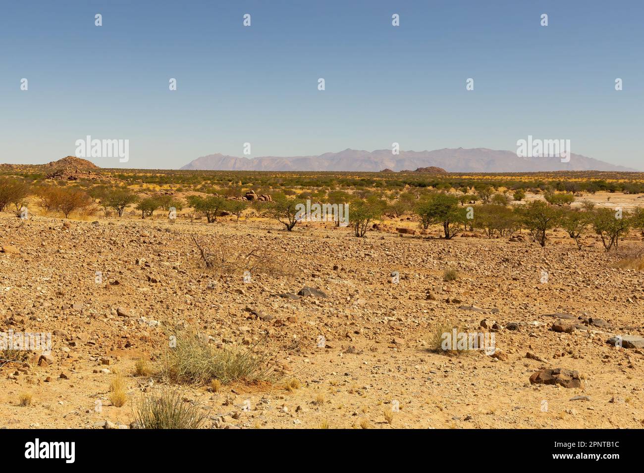 scenic view of the landscape in erongo region of Namibia Stock Photo ...