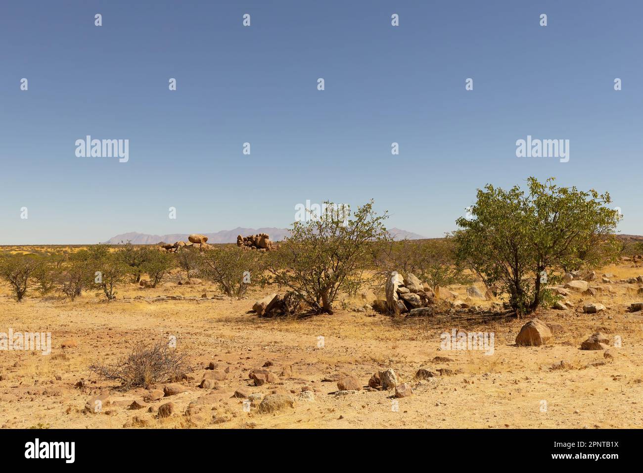scenic view of the landscape in erongo region of Namibia Stock Photo ...