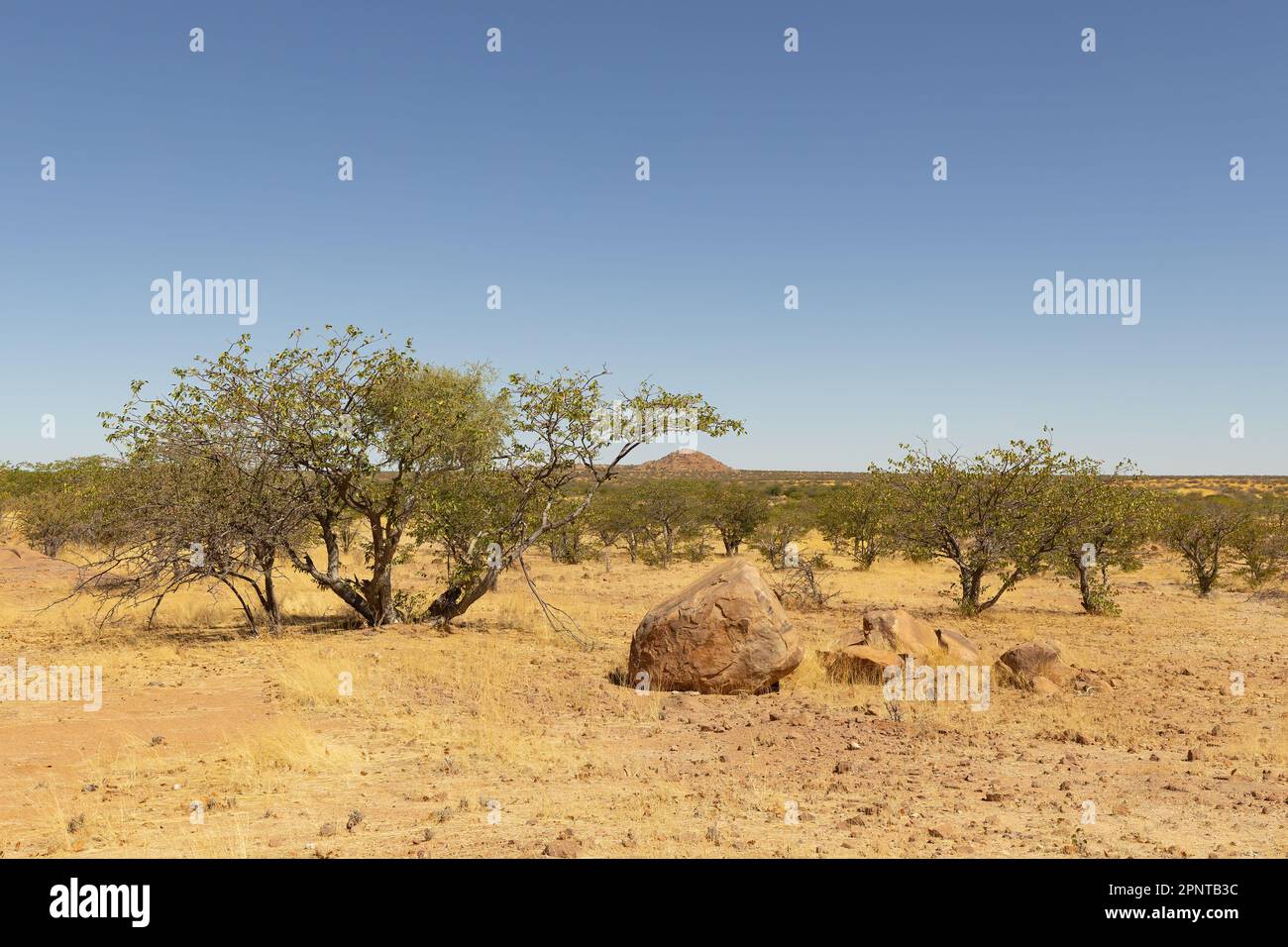 scenic view of the landscape in erongo region of Namibia Stock Photo ...