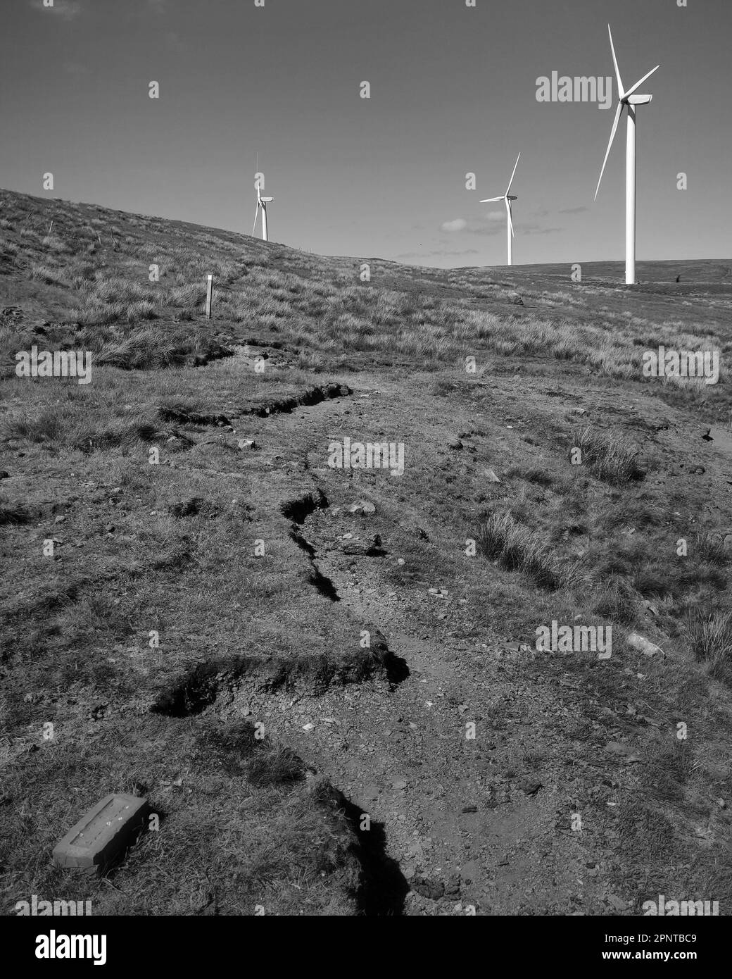 A scenic black and white image of a rustic countryside landscape ...