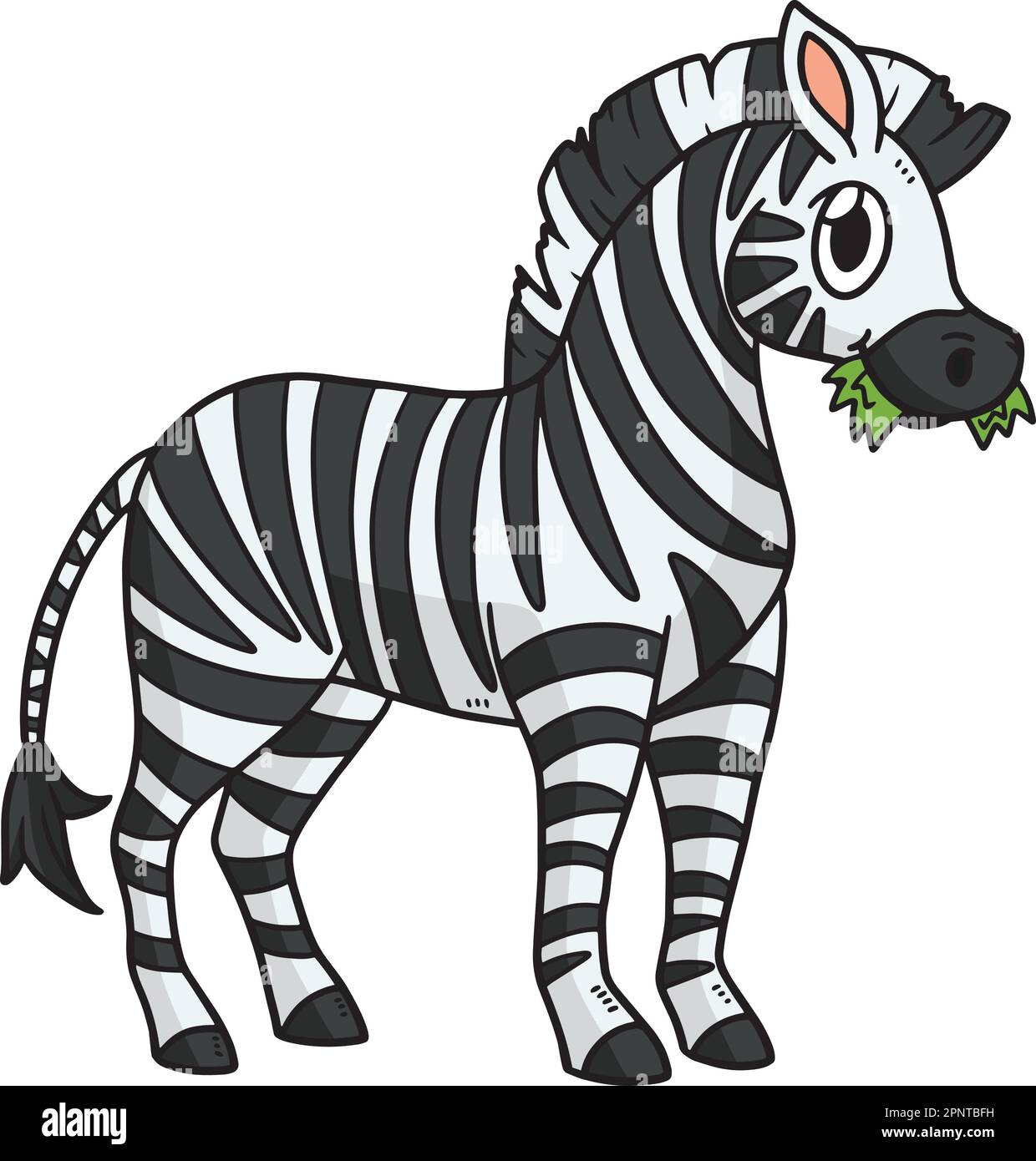 Zebra Cartoon Colored Clipart Illustration Stock Vector Image & Art - Alamy