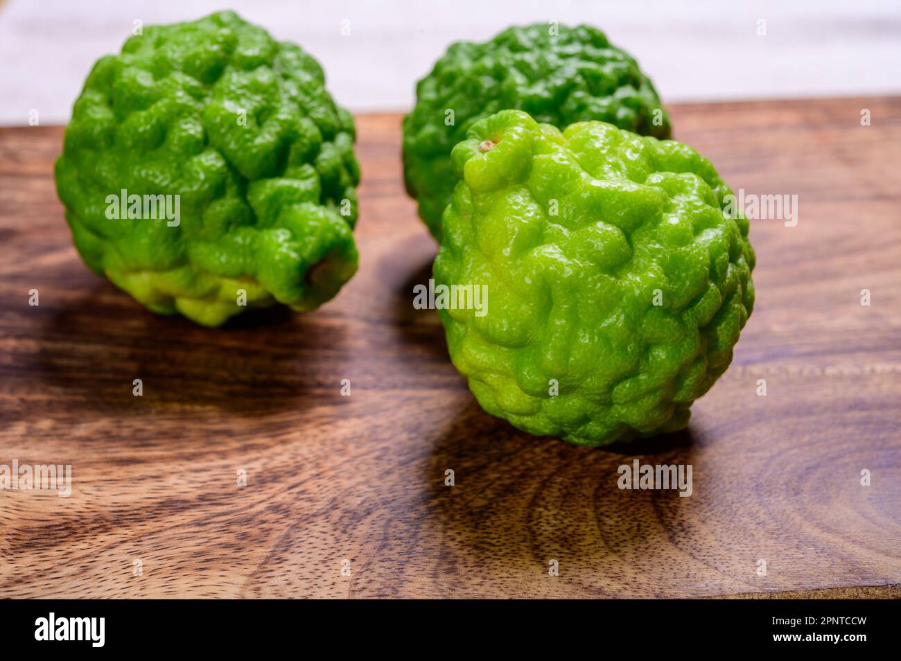 Citrus hystrix, green kaffir lime or makrut lime, citrus fruit native ...