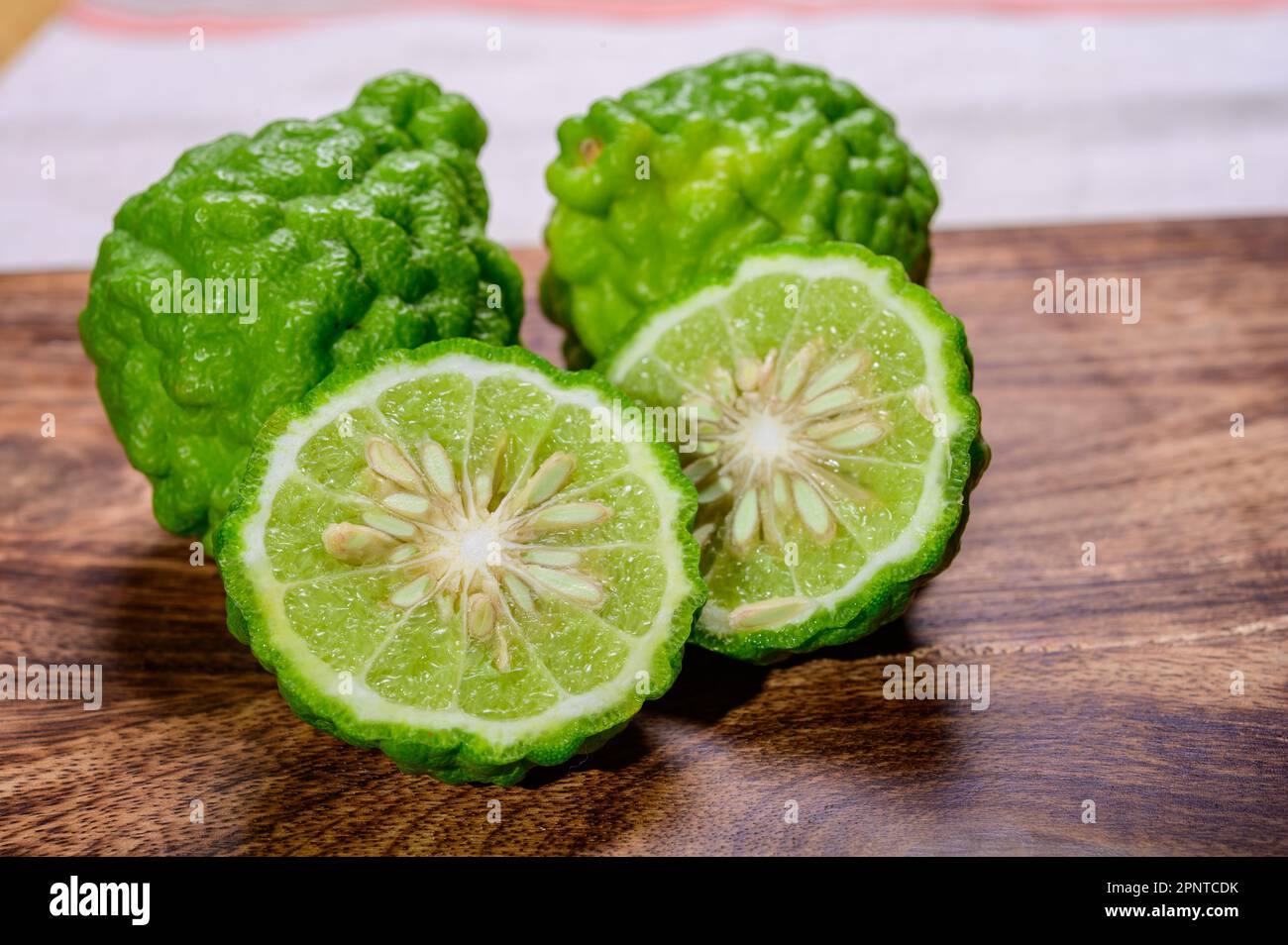 Citrus hystrix, green kaffir lime or makrut lime, citrus fruit native ...