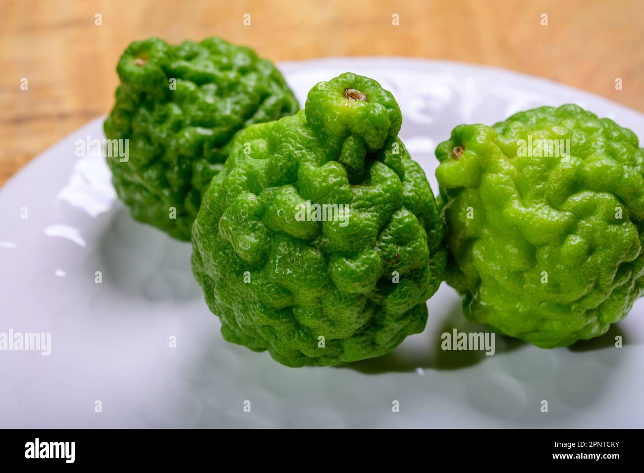 Citrus hystrix, green kaffir lime or makrut lime, citrus fruit native ...