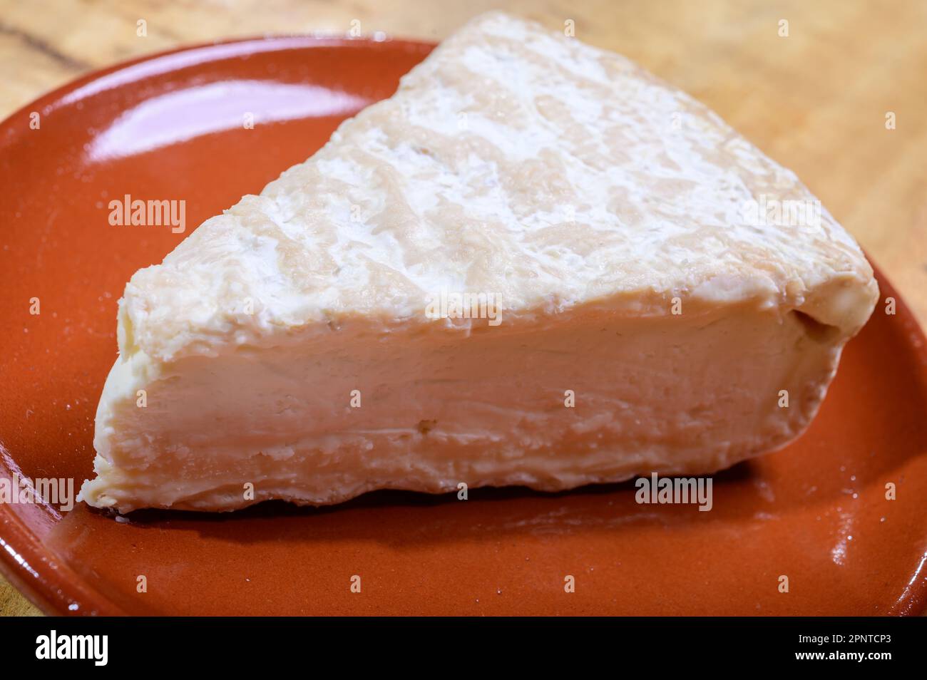 Piece of french soft-ripened white mold cow milk cheese brie produced ...