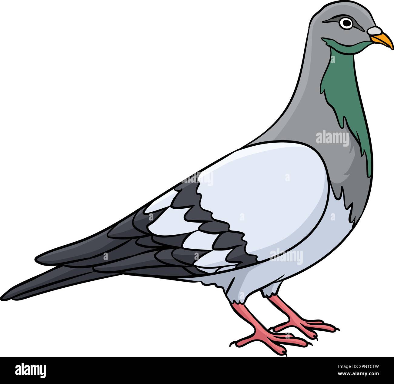 Pigeon Cartoon Colored Clipart Illustration Stock Vector Image & Art ...